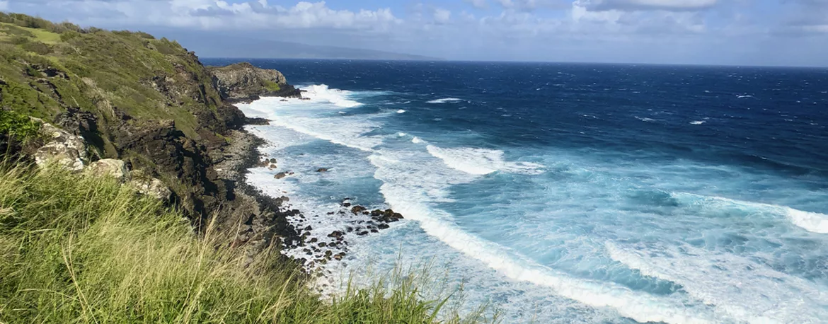 Seek Out Majestic Maui Shores Seek Out Majestic Maui Shores